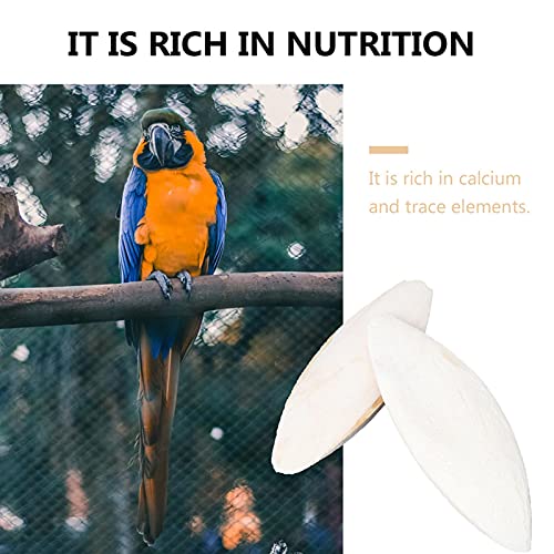 M/B Cuttlebone Toys for Birds, 10 Pcs Natural Cuddle Bone Parrot Chew Toys, Chewing Cuttlefish Bone Bird Cuttlebone, Natural Birds Chewing Cuttlefish Bone (10cm)