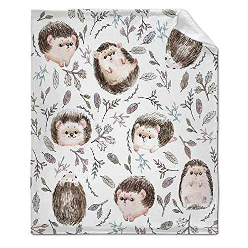 ARTBLANKET Cute Hedgehog Blanket for Fall Winter Spring All Season Warm Fuzzy 40x30 in for pet Microplush Lightweight Thermal Fleece Summer Autumn Blankets for Couch Bed Sofa