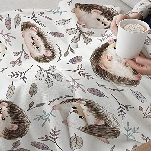 ARTBLANKET Cute Hedgehog Blanket for Fall Winter Spring All Season Warm Fuzzy 40x30 in for pet Microplush Lightweight Thermal Fleece Summer Autumn Blankets for Couch Bed Sofa