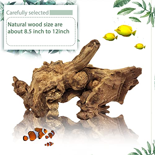 Tfwadmx Aquarium Natural Driftwood Decor Wood Branches 8.5-12" Fish Tank Decoration Reptile Habitat Assorted Trunk Terrarium Ornament(2 Pcs)