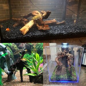 Tfwadmx Aquarium Natural Driftwood Decor Wood Branches 8.5-12" Fish Tank Decoration Reptile Habitat Assorted Trunk Terrarium Ornament(2 Pcs)