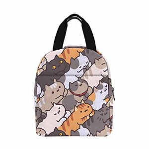 DIYKST Insulated Lunch Bag With Pockets Personalized Lazy Cat Printed on Lunch Cooler Bag For Women Men Boy Girl School Office Work Picnic