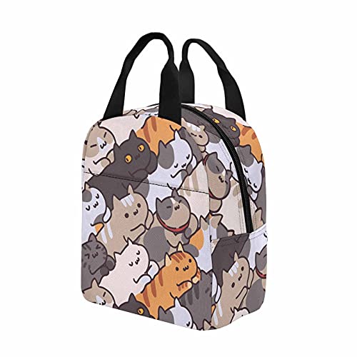 DIYKST Insulated Lunch Bag With Pockets Personalized Lazy Cat Printed on Lunch Cooler Bag For Women Men Boy Girl School Office Work Picnic