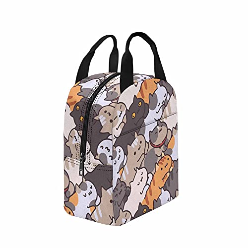 DIYKST Insulated Lunch Bag With Pockets Personalized Lazy Cat Printed on Lunch Cooler Bag For Women Men Boy Girl School Office Work Picnic