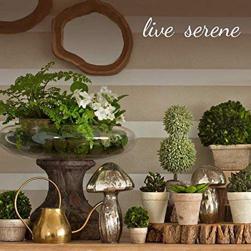 Serene Spaces Living Decorative Gold Vase Urn, Gold Vases for Centerpieces, Metal Vase Use for Home Decor, Wedding, Parties, Floral Arrangements, Measures 10.25" Tall & 7.25" Diameter