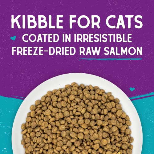 Stella & Chewy’s Raw Coated Premium Kibble Cat Food – Grain Free, Protein Rich Meals – Wild Caught Salmon Recipe – 2.5 lb. Bag