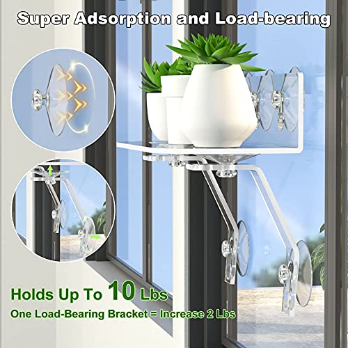 NPPLUS 2 Pack Acrylic Suction Cup Shelf, Tool Free Window Plant Shelves With Legs, 12 Inches Clear Acrylic Indoor Ledge Garden Stand with for Growing Herbs, Microgreens, Succulents,Etc.