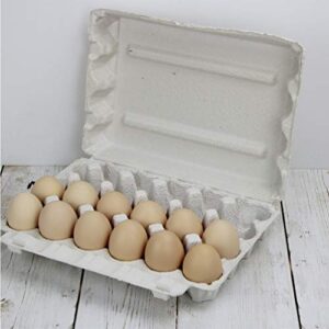 YARDWE Egg Cartons Set| 5 Pcs Cardboard Egg Cartons,- Friendly Recycled Material Biodegradable Reusable Egg Trays with Lids