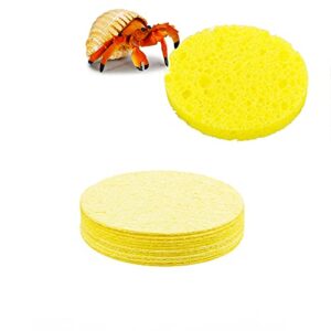 dqitj 10 pcs hermit crab sponge, water dish sponge for pet hermit crab tank humidity supplies (yellow)