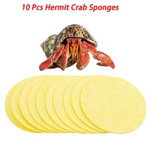 DQITJ 10 Pcs Hermit Crab Sponge, Water Dish Sponge for Pet Hermit Crab Tank Humidity Supplies (Yellow)