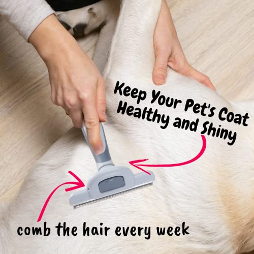 Mr. Pen- Dog Brush for Shedding, Stainless Steel Blade, Pet Grooming Brush, Dog Shedding Brush, Cat Brush for Shedding, Dog Grooming Brush, Dog Deshedding Brush, Cat Grooming Brush, Cat Shedding Brush