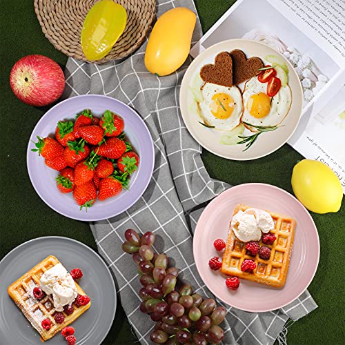 8 Pieces Wheat Straw Deep Dinner Plates Reusable Lightweight Straw Plates Dishwasher and Microwave Safe Dinner Plates Unbreakable Sturdy Dessert Plates for Toddlers Kids Adults (8 Inch)