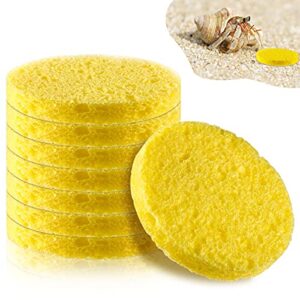 8 pieces hermit crab sponges pets crab real sea sponges unbleached water dish sea sponge provide nutrients crab sponges for pet hermit crab tank humidity supplies