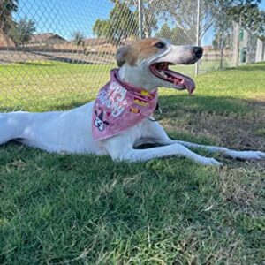 Elegant little tail Dog Bandanas - 1Pack Brithday Gift Washable Female Dog Scarf Square Dog Bib Kerchief Scarf Adjustable pet Bandana for Medium Large Girl Dogs