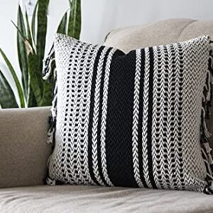 Foreside Home & Garden Black Striped Woven 18x18 Cotton Decorative Throw Pillow with Hand Tied Fringe, 18 x 18 x 5