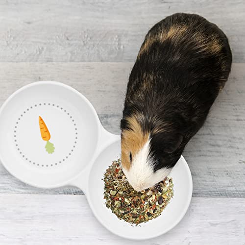 Navaris Double Food Bowl for Small Animals - Ceramic Food Bowls for Rabbits, Guinea Pigs, Small Pets - Rabbit Water Dish - Carrot and Grass Design