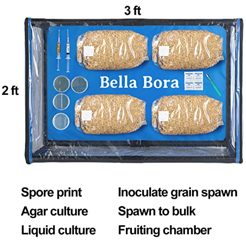 Bella Bora Still Air Box Large Portable Mushroom Grow Kit Mycology Fume Hood Propagation Stations