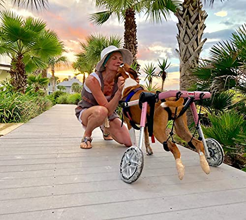 Walkin’ Wheels Custom Dog Wheelchair for Medium Dogs | Veterinarian Approved | Dog Wheelchair for Back Legs | Choose from 3 Custom Colors: Blue, Pink, and Camo