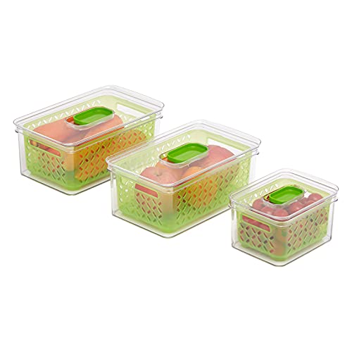 Amazon Basics Set of 3 Produce Food Saving Containers with Vented Lids, BPA Free Plastic - 2 Large (4.3 Qt), 1 Medium (1.9 Qt)