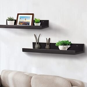 Floating Wall Mounted Shelves Black Display Shelves with Ledge Shelf for Bedroom Bathroom Livingroom Room Kitchen Set of 2 (Black)