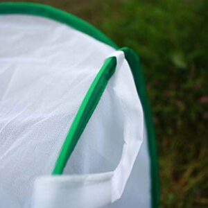 30x30x30cm Foldable Insect Breeding Cages Net Cloth Mantis Stick Praying Cylindrical Cage Plant Cultivation Mosquito Net Box- Insect Cage