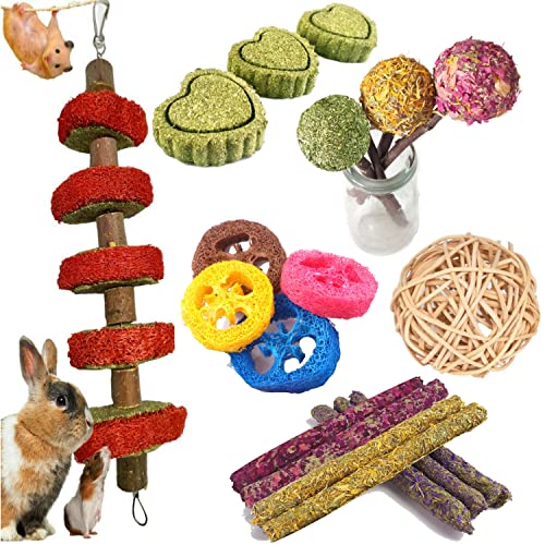 Kunze Land Rabbit Toys, Natural Organic Apple Wood Sticks with Timothy Hay Balls Grass Cakes Loofah Rabbit Chew Toys, 10 Pcs Teeth Care Guinea Pig Toys 001