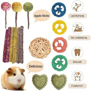 Kunze Land Rabbit Toys, Natural Organic Apple Wood Sticks with Timothy Hay Balls Grass Cakes Loofah Rabbit Chew Toys, 10 Pcs Teeth Care Guinea Pig Toys 001