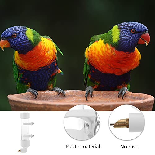 Balacoo Bird Drinker Waterer Parrot Automatic Drinking Device Water Feeder for Parakeet Cockatiel Conure Lovebird African Grey Macaw Clear