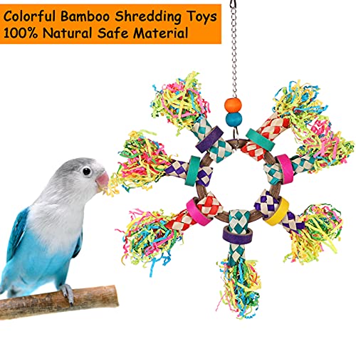 Bird Toys, 5PCS Colorful Bird Shredding Toys Hanging Parakeet Chew Toys, Bird Foraging Toys for Small Medium Parrots, Conures, Cockatiel, Lovebird Cockatiel, and Cage Accessory