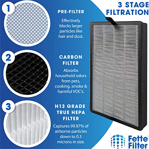 Fette Filter - PM1539 True HEPA H13 Replacement Air Purifier Filter Set Compatible with Inofia Air Purifier System Compare to Part # PM1539. Pack of 2