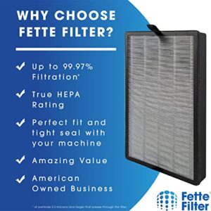 Fette Filter - PM1539 True HEPA H13 Replacement Air Purifier Filter Set Compatible with Inofia Air Purifier System Compare to Part # PM1539. Pack of 2