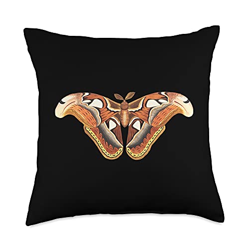 Beautiful Butterflies Insect Lovers Entomology Atlas Moth Butterfly Insect Illustration for Men & Women Throw Pillow, 18x18, Multicolor