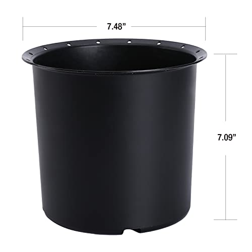 GSM Brands Orchid Pot 7-8 Inch (1 Pack)