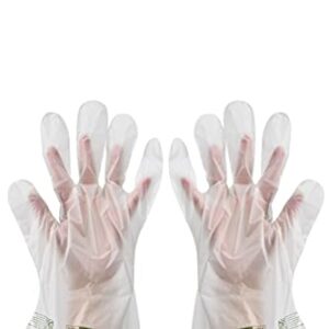 TYPLASTICS Compostable Food Prep Gloves, Large, Pack of 100, ASTM D6400, US BPI and Europe OK Compost HOME Certified