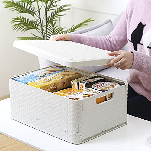 Folding and Stackable Storage Bin with Lid | Organizer Storage Box, 30 Liter, Set of 3, Beige