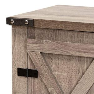 BOWERY HILL Farmhouse Brown Finished Wood 2-Door Shoe Storage Cabinet