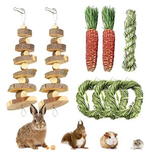 djun bunny chew toys for teeth include natural apple branch string timothy hay sticks timothy hay ring timothy hay carrot for rabbit rodents guinea pigs chinchilla hamster (style 1)