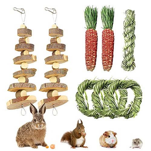 DJun Bunny Chew Toys for Teeth Include Natural Apple Branch String Timothy Hay Sticks Timothy Hay Ring Timothy Hay Carrot for Rabbit Rodents Guinea Pigs Chinchilla Hamster (Style 1)