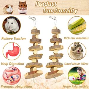 DJun Bunny Chew Toys for Teeth Include Natural Apple Branch String Timothy Hay Sticks Timothy Hay Ring Timothy Hay Carrot for Rabbit Rodents Guinea Pigs Chinchilla Hamster (Style 1)