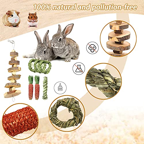 DJun Bunny Chew Toys for Teeth Include Natural Apple Branch String Timothy Hay Sticks Timothy Hay Ring Timothy Hay Carrot for Rabbit Rodents Guinea Pigs Chinchilla Hamster (Style 1)