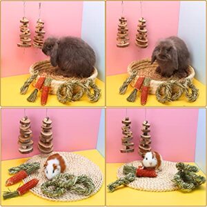 DJun Bunny Chew Toys for Teeth Include Natural Apple Branch String Timothy Hay Sticks Timothy Hay Ring Timothy Hay Carrot for Rabbit Rodents Guinea Pigs Chinchilla Hamster (Style 1)