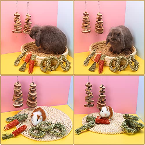 DJun Bunny Chew Toys for Teeth Include Natural Apple Branch String Timothy Hay Sticks Timothy Hay Ring Timothy Hay Carrot for Rabbit Rodents Guinea Pigs Chinchilla Hamster (Style 1)