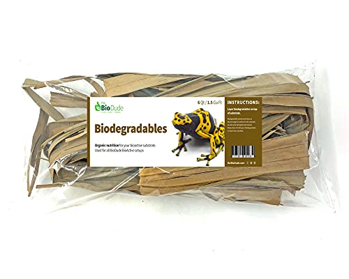 The Bio Dude Southern Palm Fronds/Leaves 6 qt, for Reptiles, Frogs and bioactive terrariums