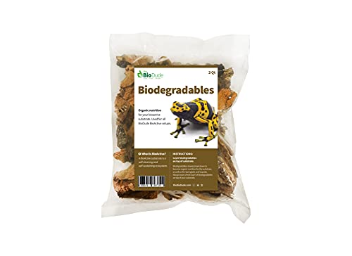 The Bio Dude Virgin Cork Bark Chunks 4" x 6" Bag, for Isopods, Springtails, Reptiles, Frogs and bioactive terrariums