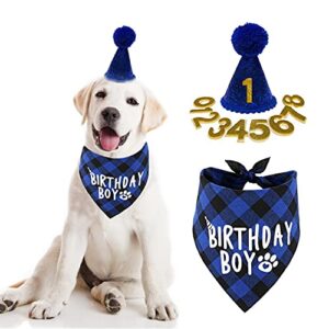 dog birthday party supplies, boy dog birthday bandana scarf and dog birthday hat with number.