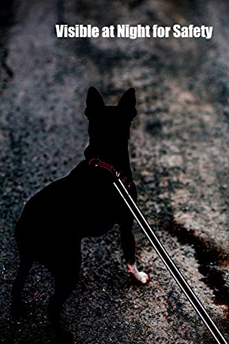 SUNNQ Reflective Dog Leash for Small Dogs, 6 FT (5/8 inch X 6FT, Black)