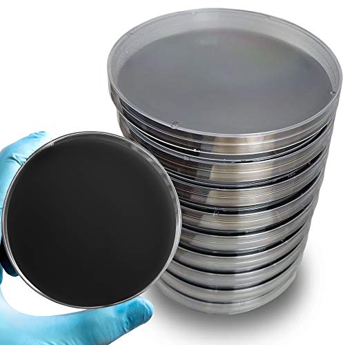 Malt Extract Agar Plates with Activated Charcoal - Evviva Sciences - Improved - Prepoured Charcoal MEA Petri Dishes - Excellent Growth Medium - Great for Mushrooms & Science Projects