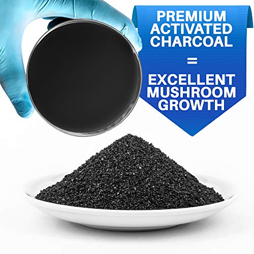 Malt Extract Agar Plates with Activated Charcoal - Evviva Sciences - Improved - Prepoured Charcoal MEA Petri Dishes - Excellent Growth Medium - Great for Mushrooms & Science Projects