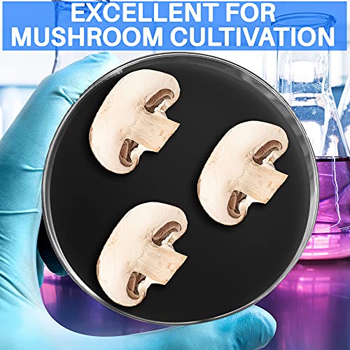 Malt Extract Agar Plates with Activated Charcoal - Evviva Sciences - Improved - Prepoured Charcoal MEA Petri Dishes - Excellent Growth Medium - Great for Mushrooms & Science Projects