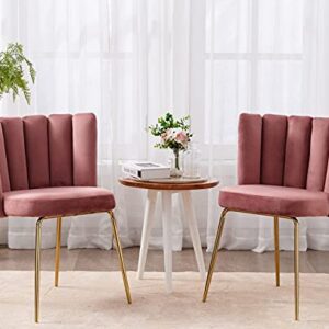 DM Furniture Velvet Dining Chairs Set of 2 Modern Accent Chair Upholstered Side Chair with Gold Metal Legs for Home Kitchen Living Room, Pink